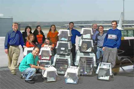 United Pet Delivery | United Pet Delivery